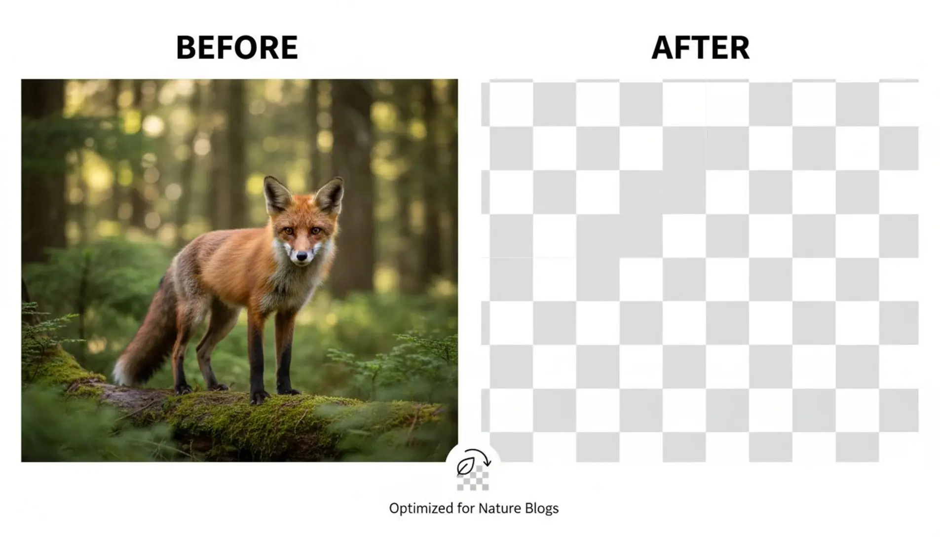 Remove Background from Wildlife Photography for Nature Blogs: Best AI ...
